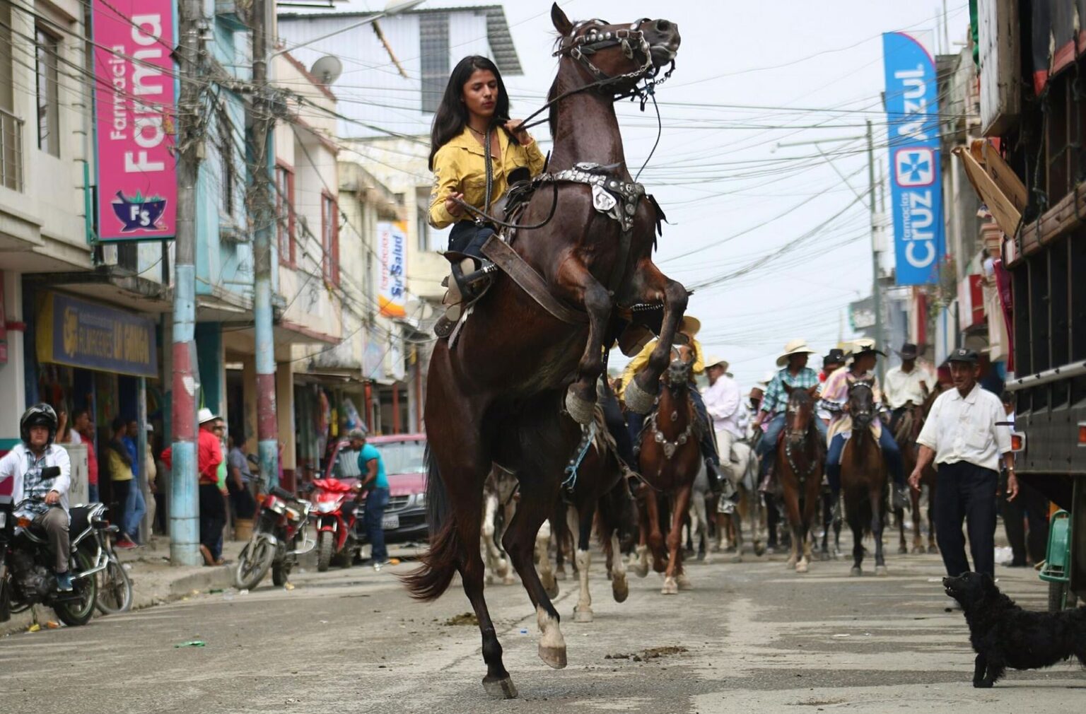 Baba y su historia con los cambios actuales - ALDIA | Noticias de Los ...